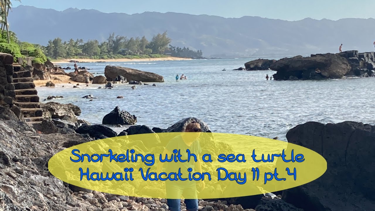 Snorkeling with a Sea Turtle & alligator rock beach | Hawaii Day 11 ...