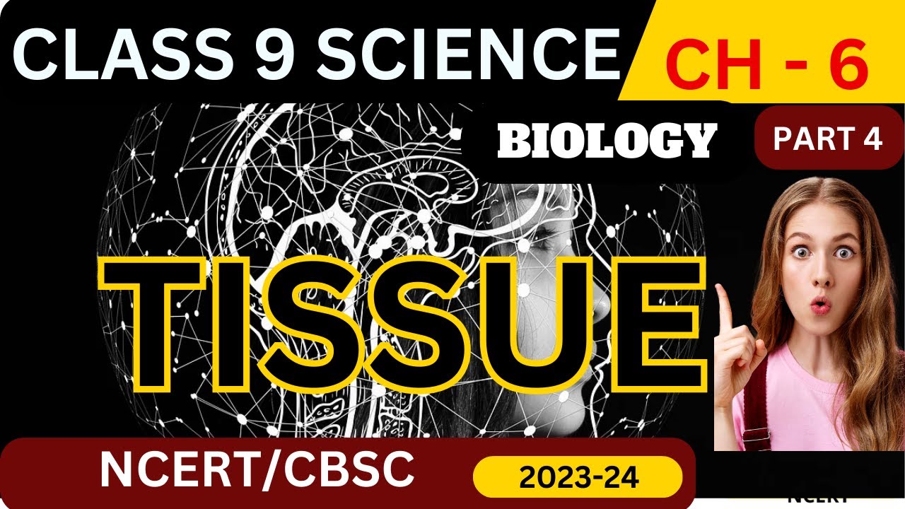 Class 9 Biology Chapter 2 | Tissues cbsc ncert in hnidi explain tissue ...