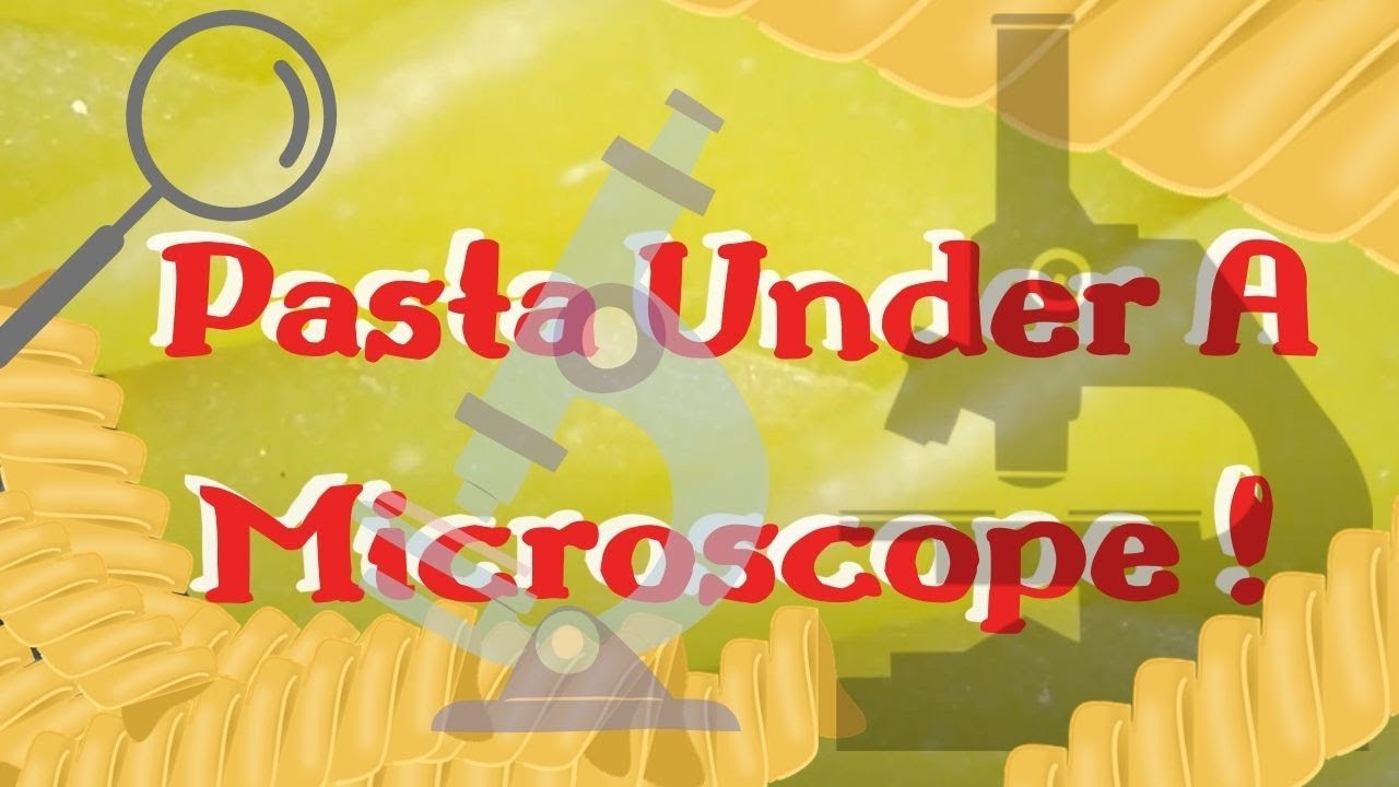 What Pasta Looks Like Very Close Up Under A Microscope ! - YouTube
