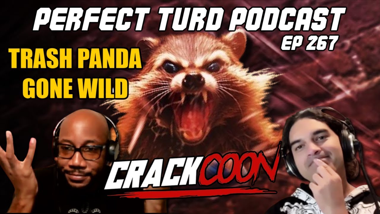 Crackcoon (2024) Movie Review When Trash Pandas Go Psycho! - YouTube