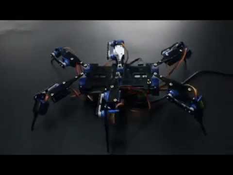 Dancing Spider Robot - YouTube