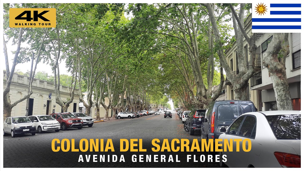 🇺🇾 ¿Cómo se ve la avenida principal de Colonia a sus 300 años ...