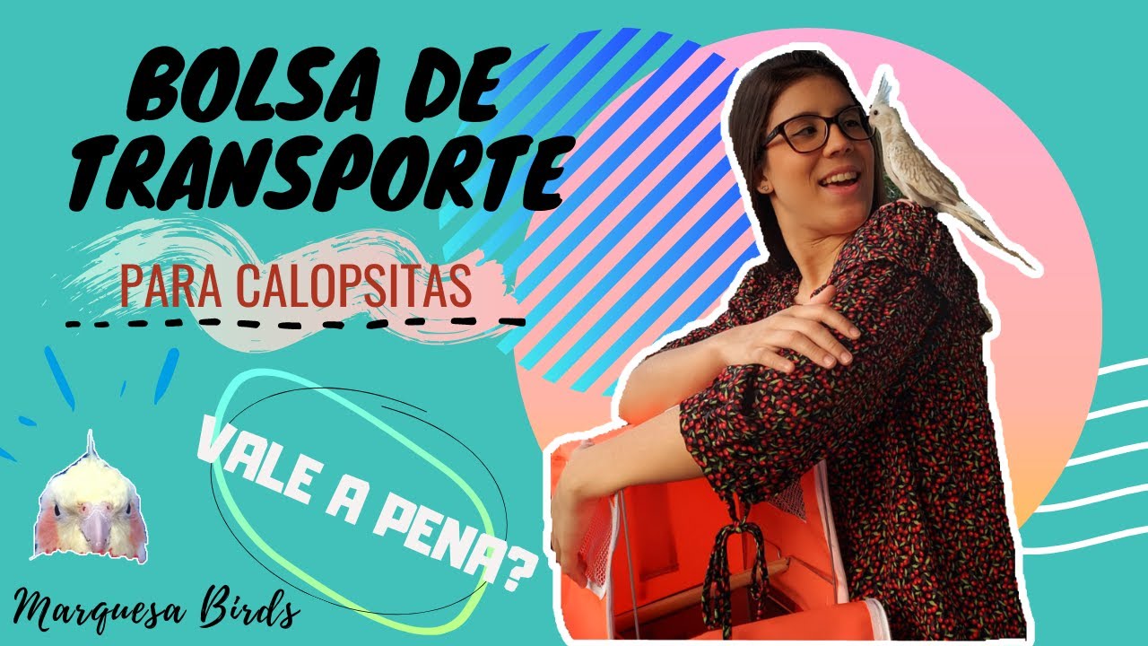 Review/Resenha - Bolsa Para Transporte de Aves | Minha Experiência ...