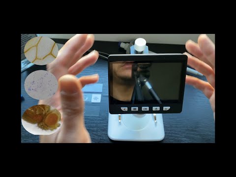 Cheap 1000x digital microscope in depth review (for biology) - YouTube