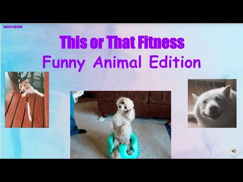 This or That Funny Animals Edition (Game/Brain Break) - YouTube