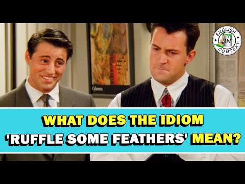 Idiom 'Ruffle Some Feathers' Meaning