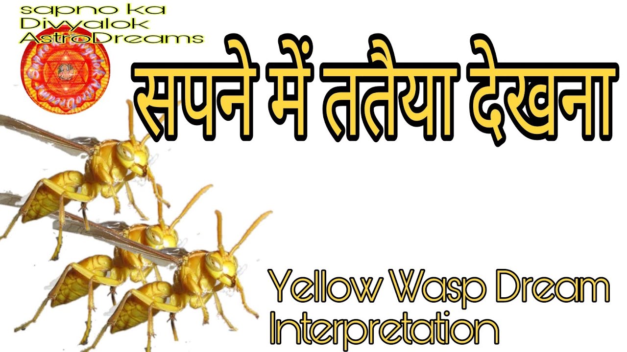 सपने में ततैया देखना||yellow wasp Dream Analysis|Sapne me tatiya dekhna ...