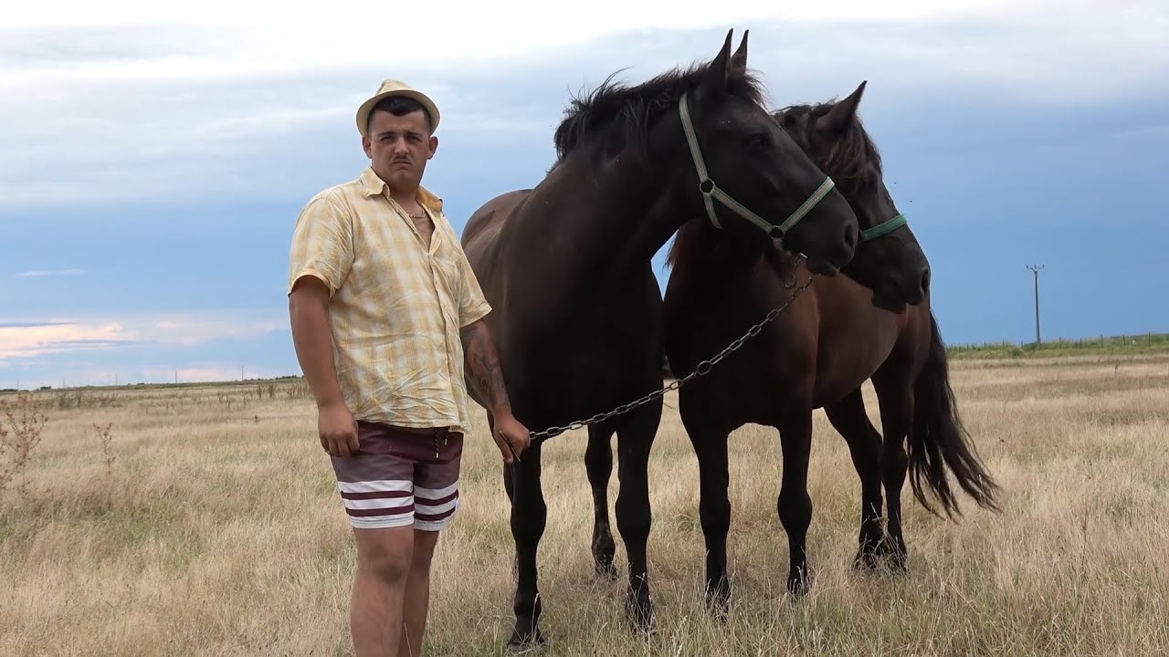 Iepele lui Dan de la Foeni, Timis - 2023 Nou!!! - YouTube