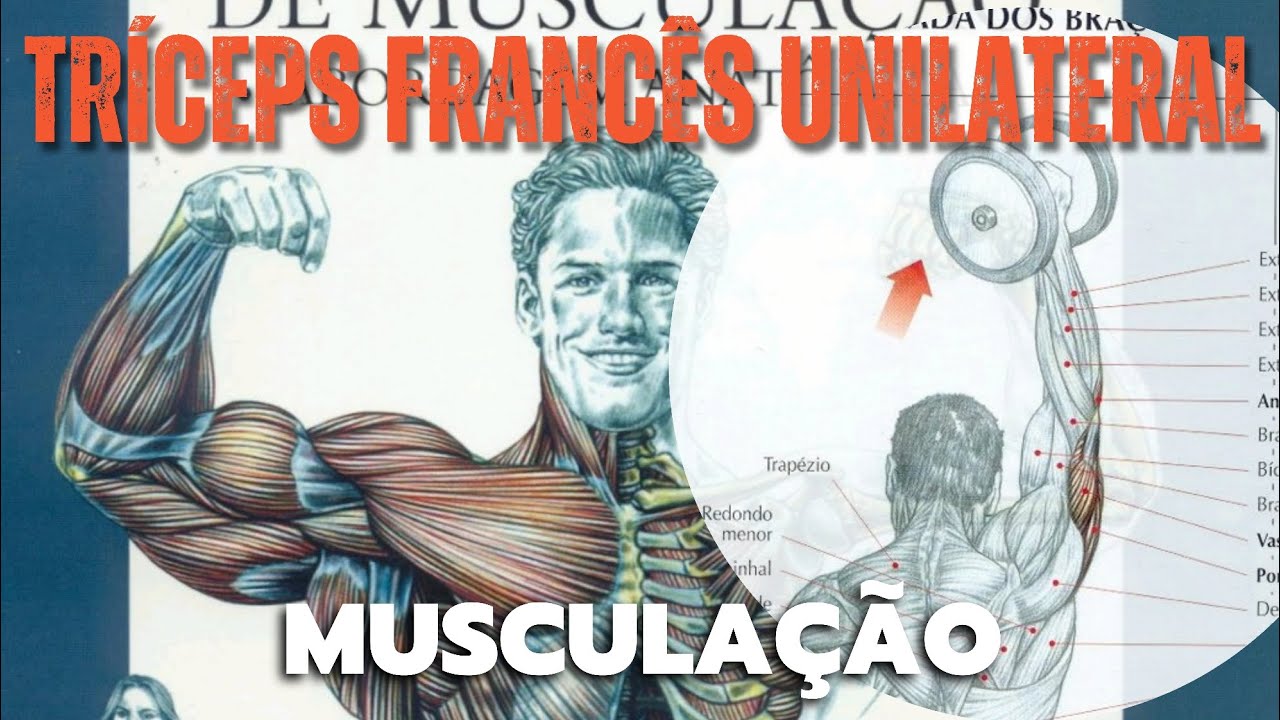 O QUE É TRÍCEPS FRANCÊS UNILATERAL com HALTER? Musculação - YouTube
