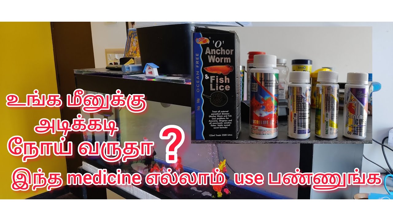 How to use aquarium fish medicine must watch Beginners | FISH MEDICINE ...