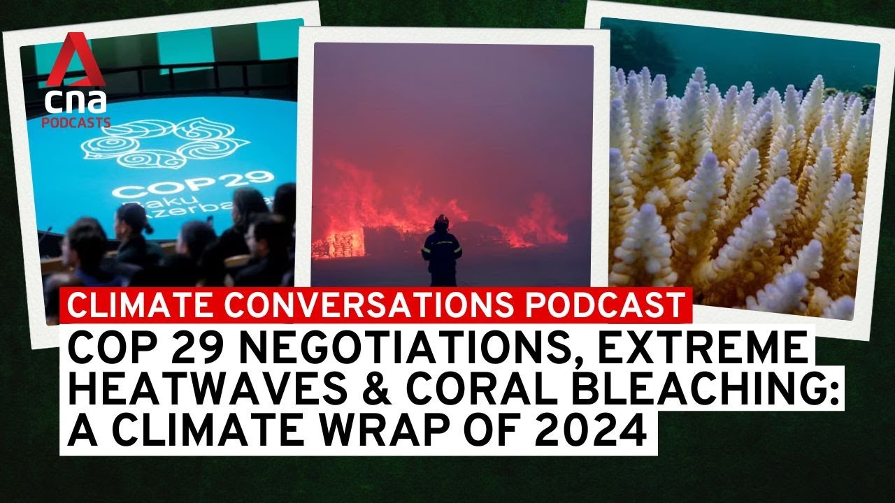 A climate wrap of 2024 | Climate Conversations podcast - YouTube