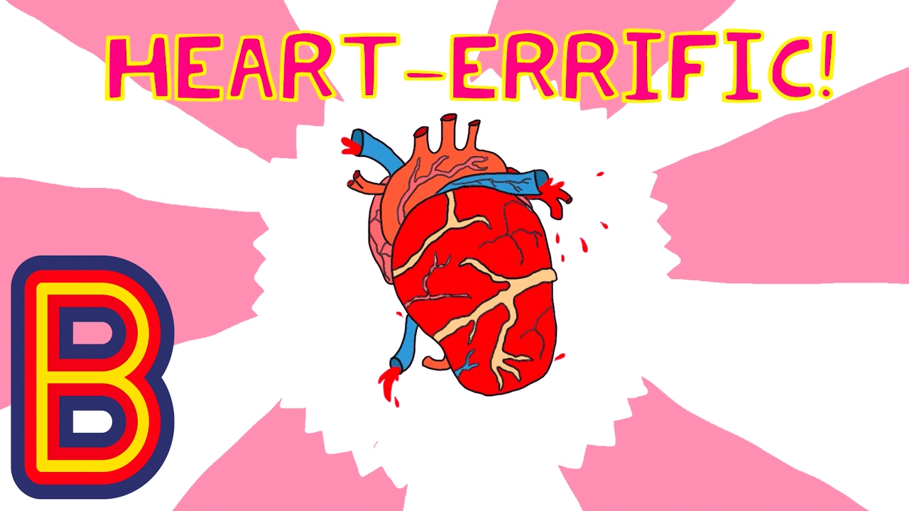 How to Draw a Real Human Heart | Quick Draw - YouTube