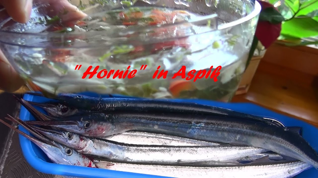 "Hornie" in Aspik, Hornhecht nach Art des Hauses, Fischrezept - YouTube