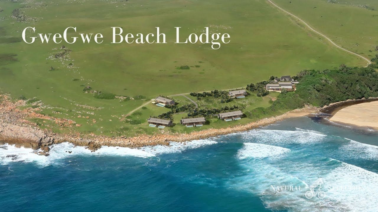 GweGwe Beach Lodge | Mkambati Nature Reserve | South Africa - YouTube