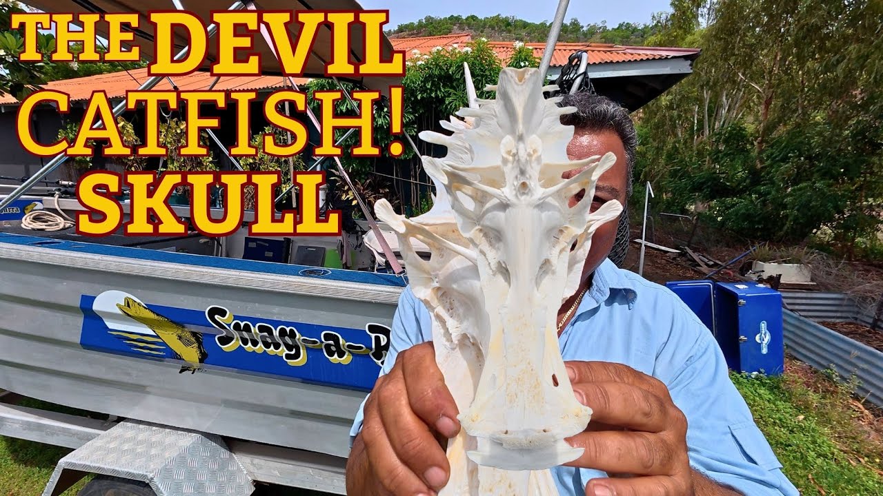 Chasing Monster Catfish - And Finding Something I Can't Explain - YouTube