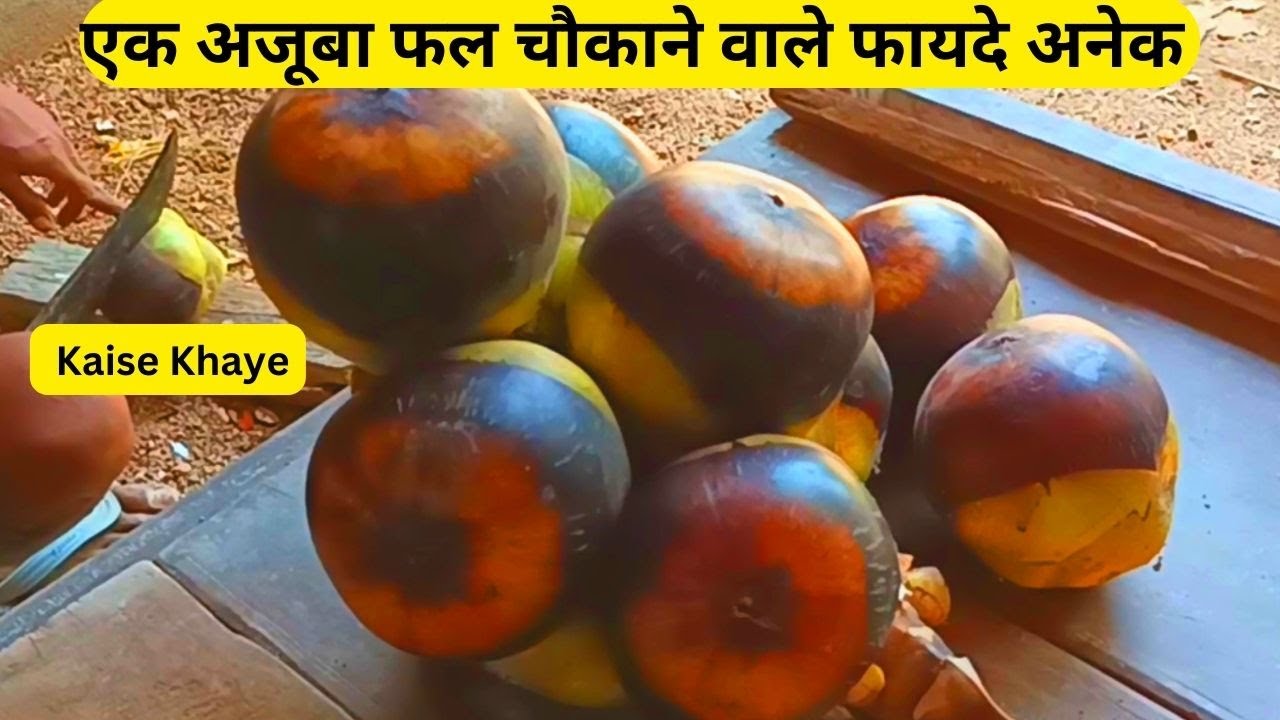 ताड़ का फ़ल खाने के फ़ायदे Tal Ka Fal Kaisa Hota hai ताड़गोला क्या है ...