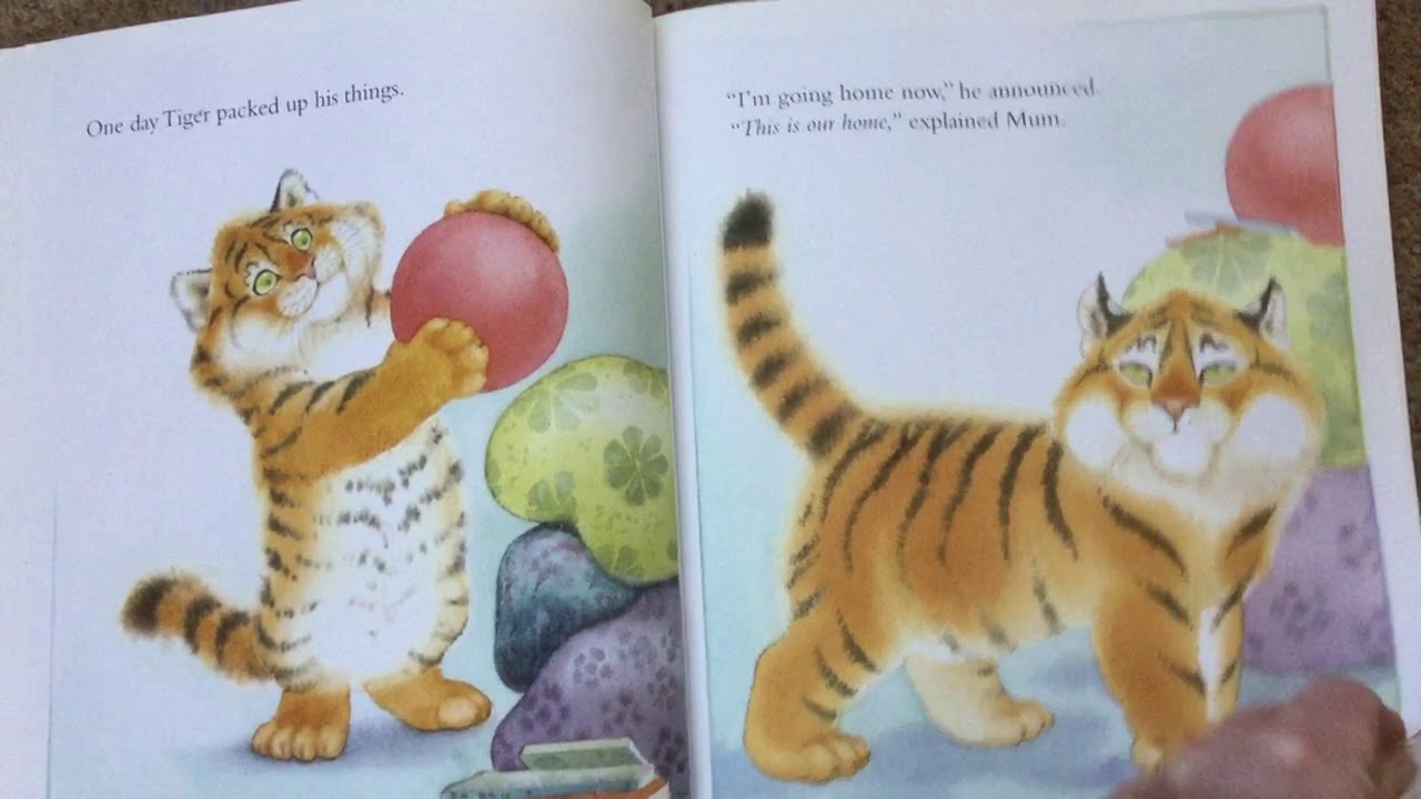 A New Home for Tiger - YouTube