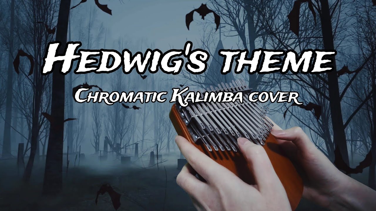 Happy Halloween! 👻🎃 Hedwig's theme from Harry Potter | Chromatic Chill ...