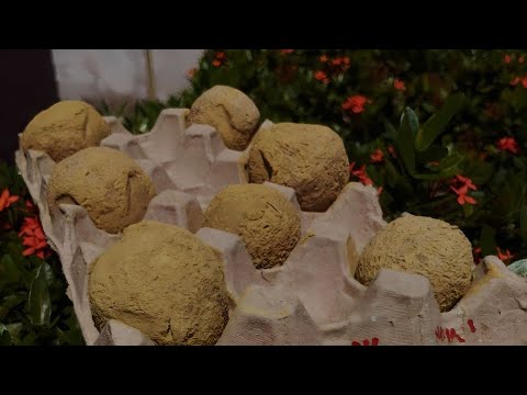 TUTORIAL | Mud Ball😁👆🏻 - YouTube