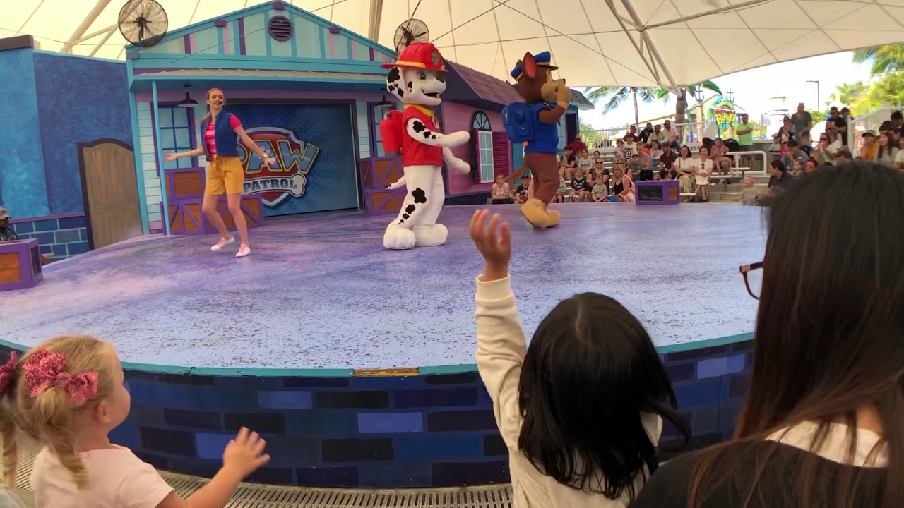 Paw Patrol Dance - YouTube