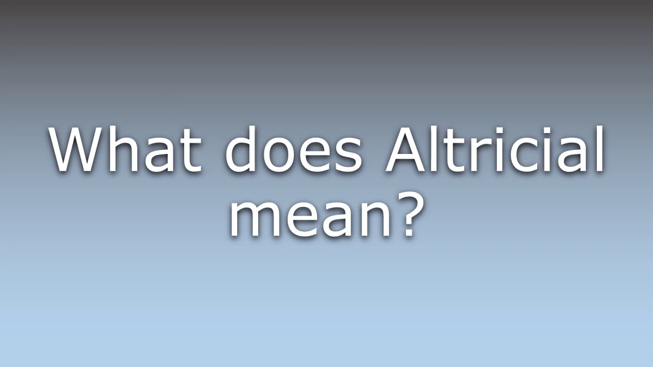 What does Altricial mean? - YouTube