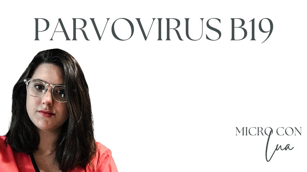 Parvovirus B19 | VIRUS EXANTEMATICOS | Eritema infeccioso | MICRO CON LUA - YouTube