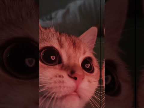 Ezhel-Nerdesin Speed Up (Tiktok Versiyon)