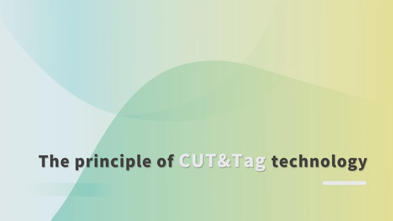 The principle of CUT＆Tag technology - YouTube
