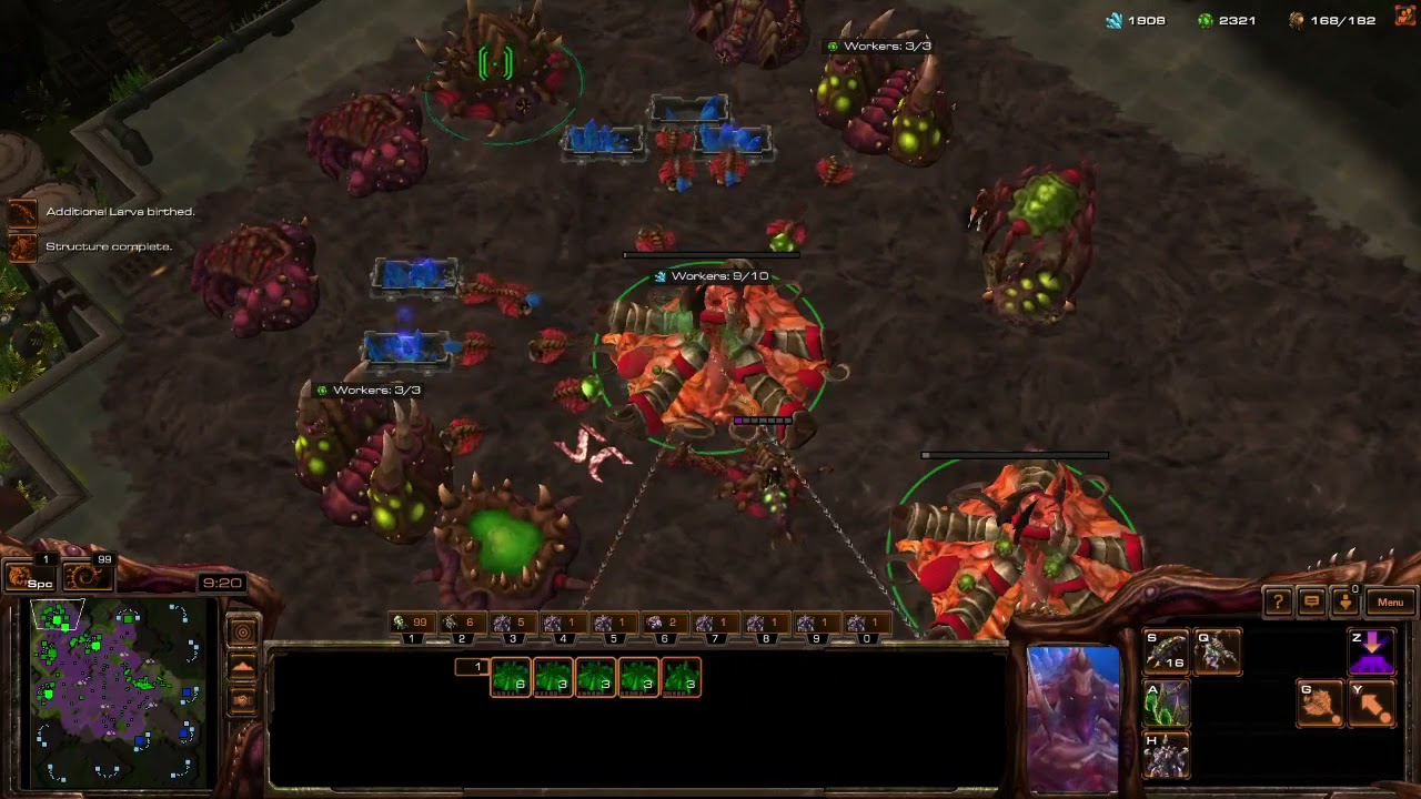 Lurker Rush Highlights SC2 (Zerts) - YouTube