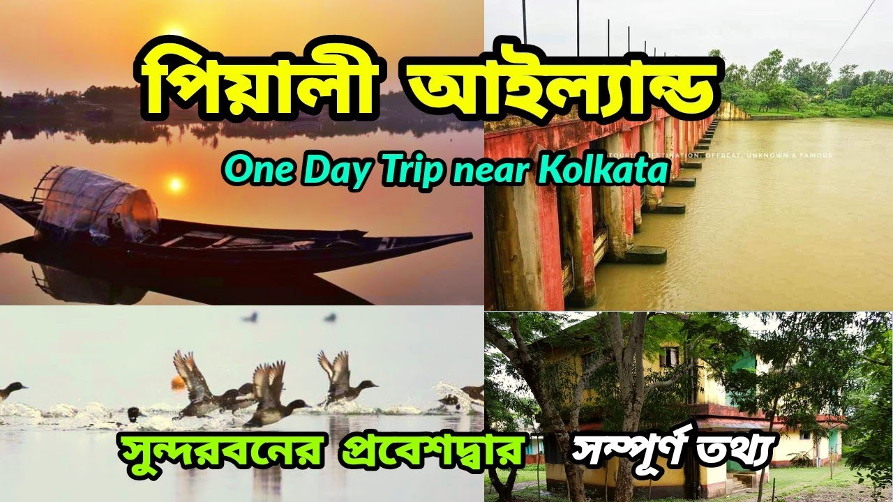 Piyali Island | পিয়ালী দ্বীপ |One day tour from Kolkata |Gateway of ...