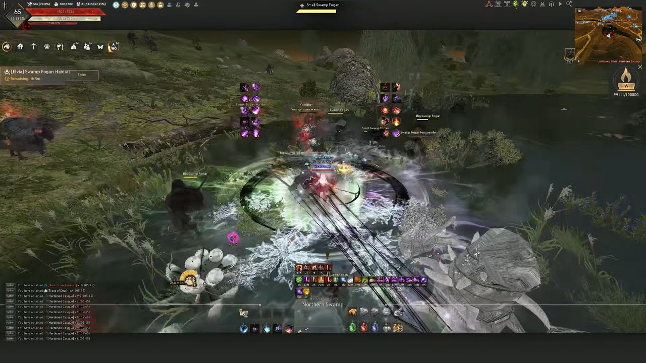 BDO Swamp Fogans Awakening Nova 310AP, 34013 yellow scroll - YouTube