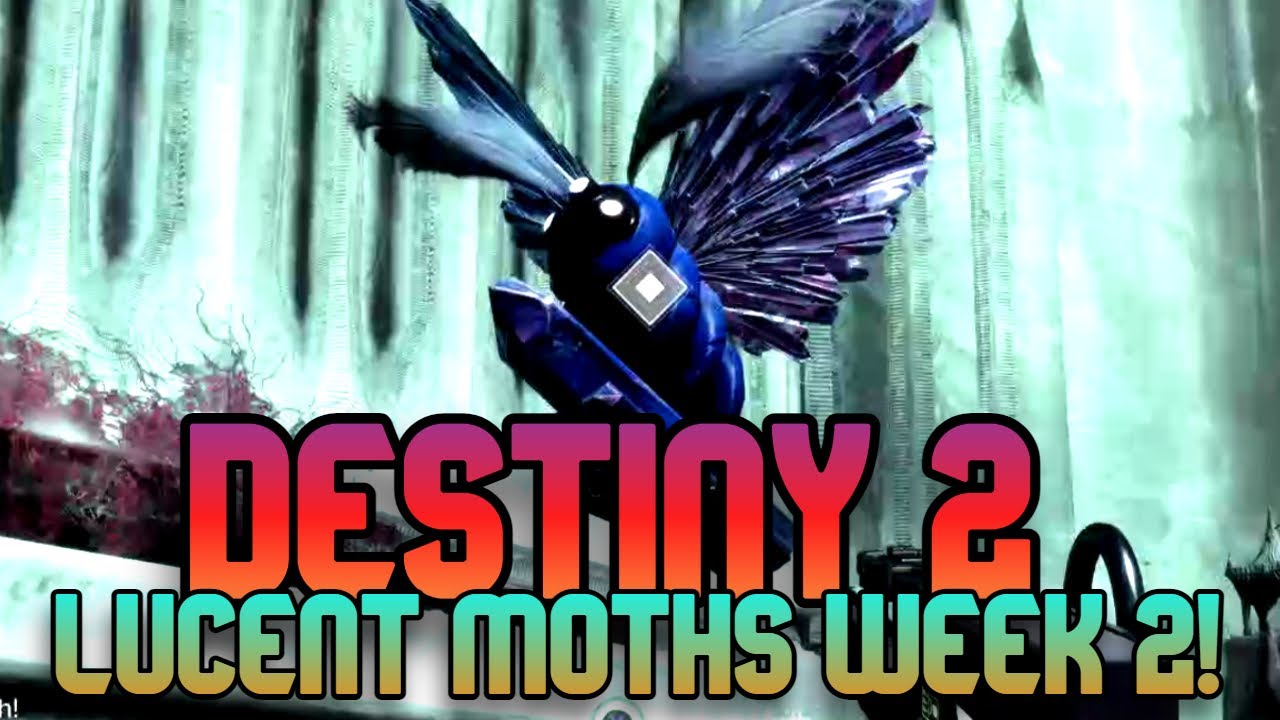 DESTINY 2 WITCH QUEEN LUCENT MOTH LOCATIONS WEEK 2!! - YouTube