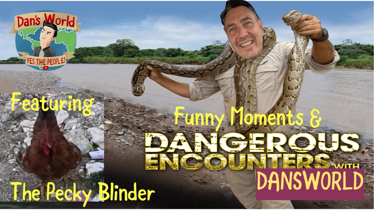 Funny Moments & Dangerous Encounters - YouTube