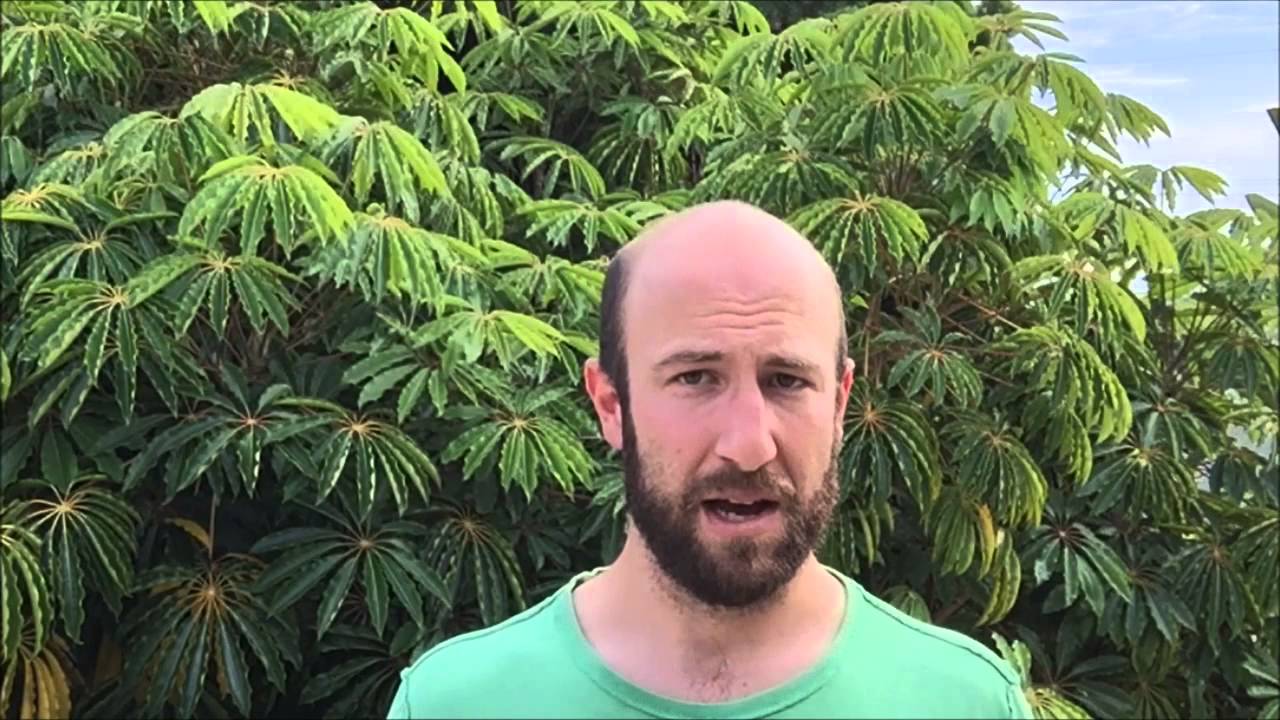 Three Ways to Get Outside Now - YouTube