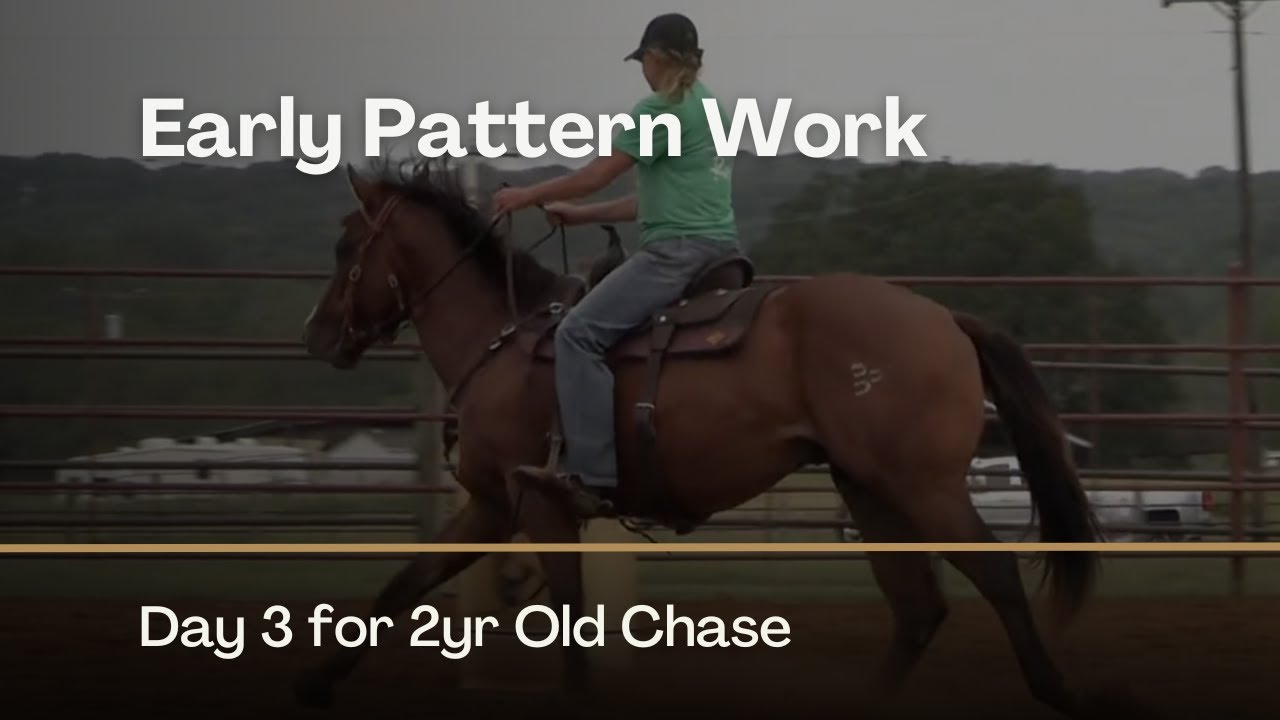 Early Pattern Work—3rd day on the pattern with 2yr old Chase and Joy ...