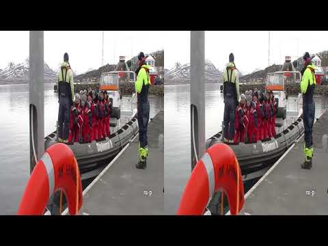 AIDAsol Ostern 2022 nach Island & NOR 3D (17): Akureyri - Walsuche mit RIB