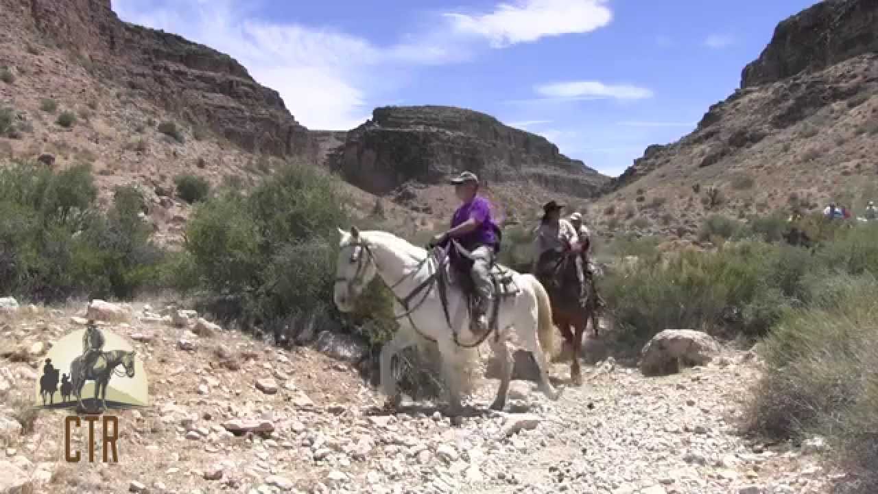 Horseback riding in Las Vegas with Cowboy Trail Rides - YouTube