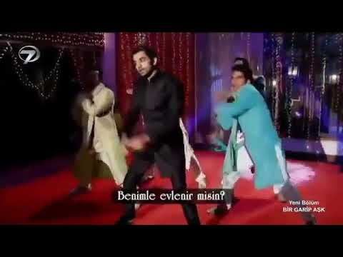 Arnav kuşiyə evlenme teklifi etdi