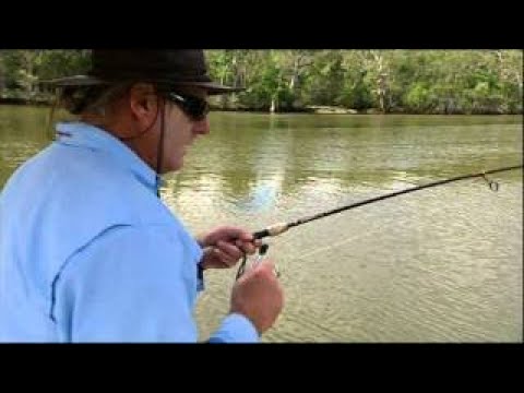 IFISH - Paul Worsteling & Phippsy fish for Jewfish in the Noosa River ...