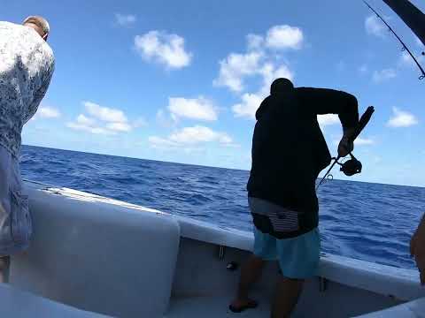 Great Day Fishing w/ Early Bird Fishing and Captain Ross in the Florida ...