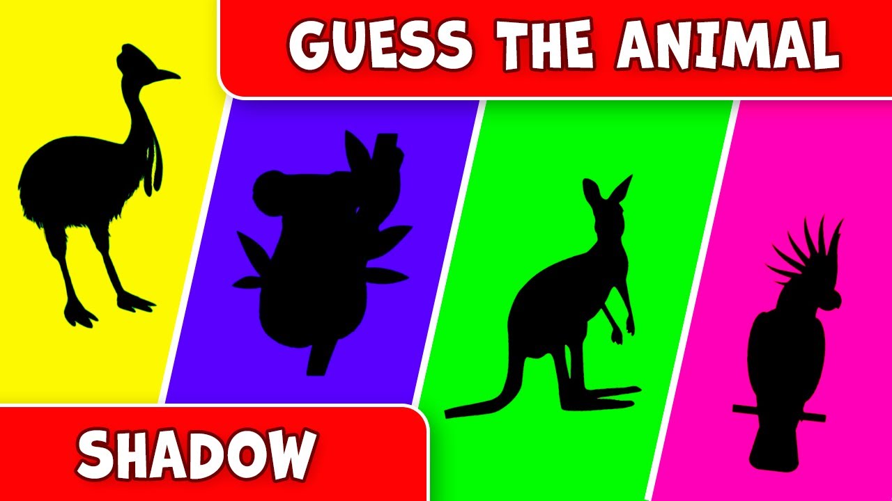 Guess the Animal by its Shadow | Animal Quiz 🐼 - YouTube