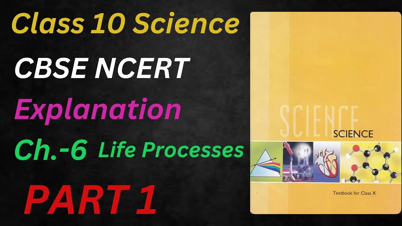 Life Processes | PART 1 | CBSE Chapter 6 NCERT | Class 10 Science ...