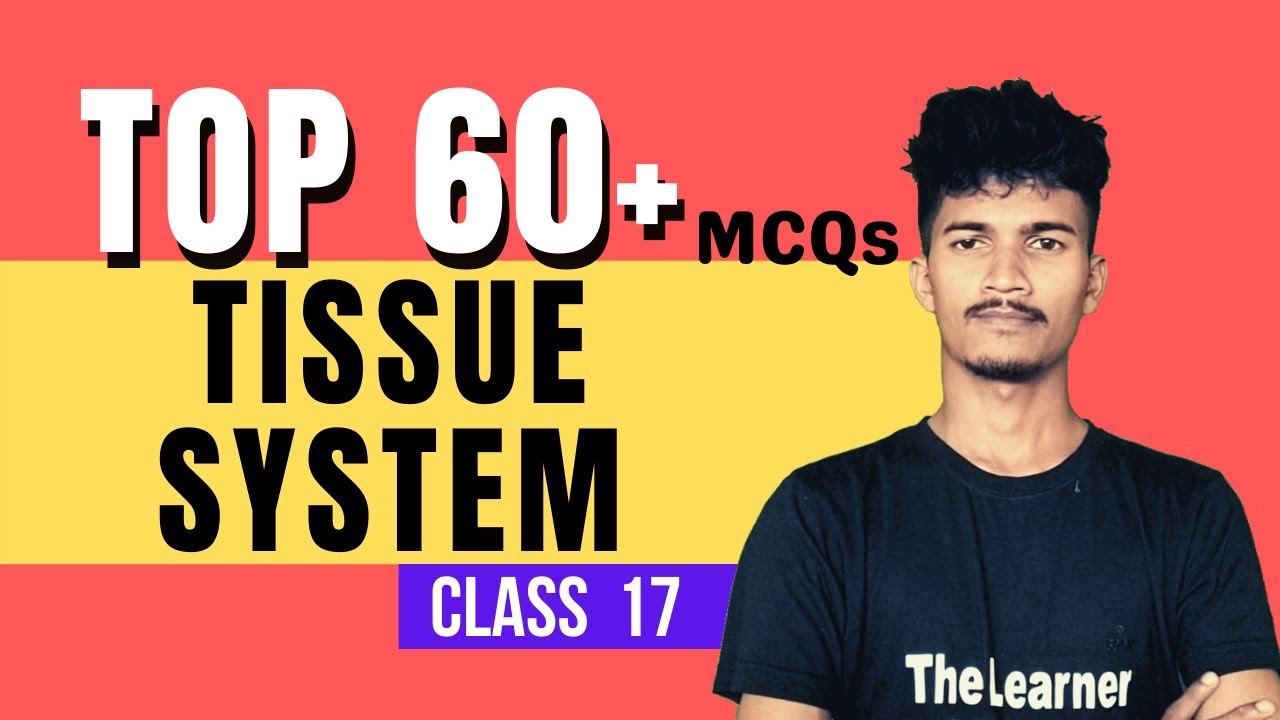 [L17] TISSUE SYSTEM Practice|| 60 MCQs || OSSTET BIOLOGY | CHT | TGT ...