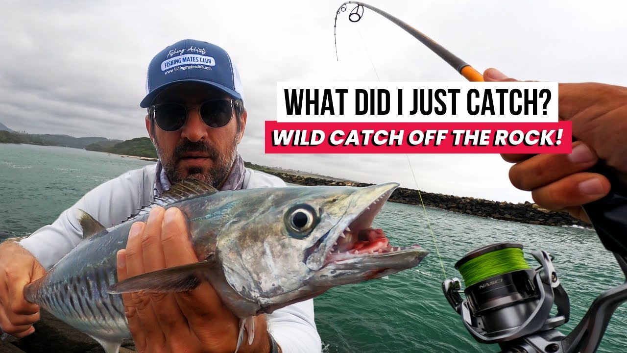 Wild Catch Fishing Off The Rocks! 1st Time Catching This Fish! - YouTube