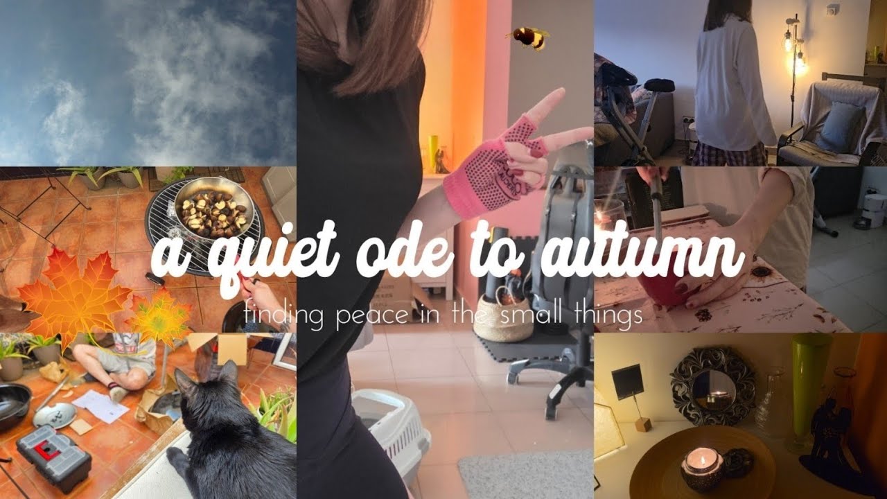 Just an Ordinary Perfect Autumn Day 🍁 - YouTube