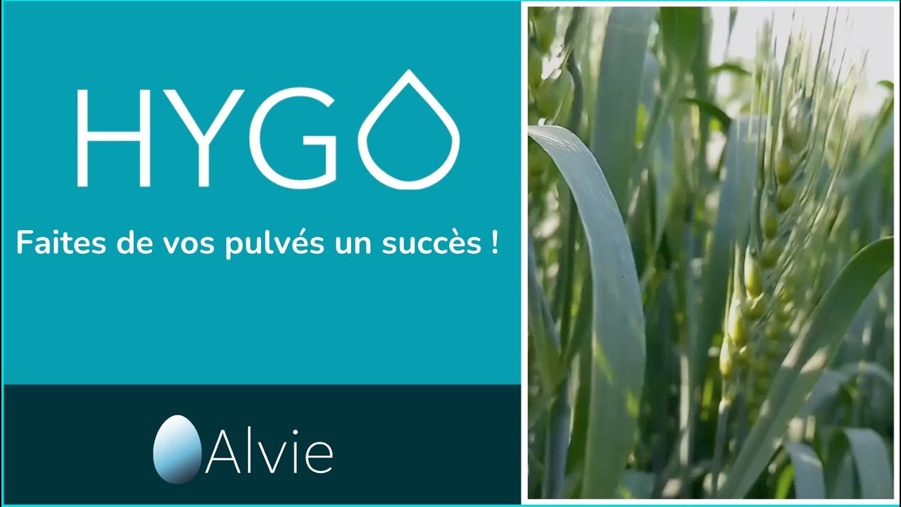 HYGO - Tour de l'application (version longue) 🇫🇷 - YouTube