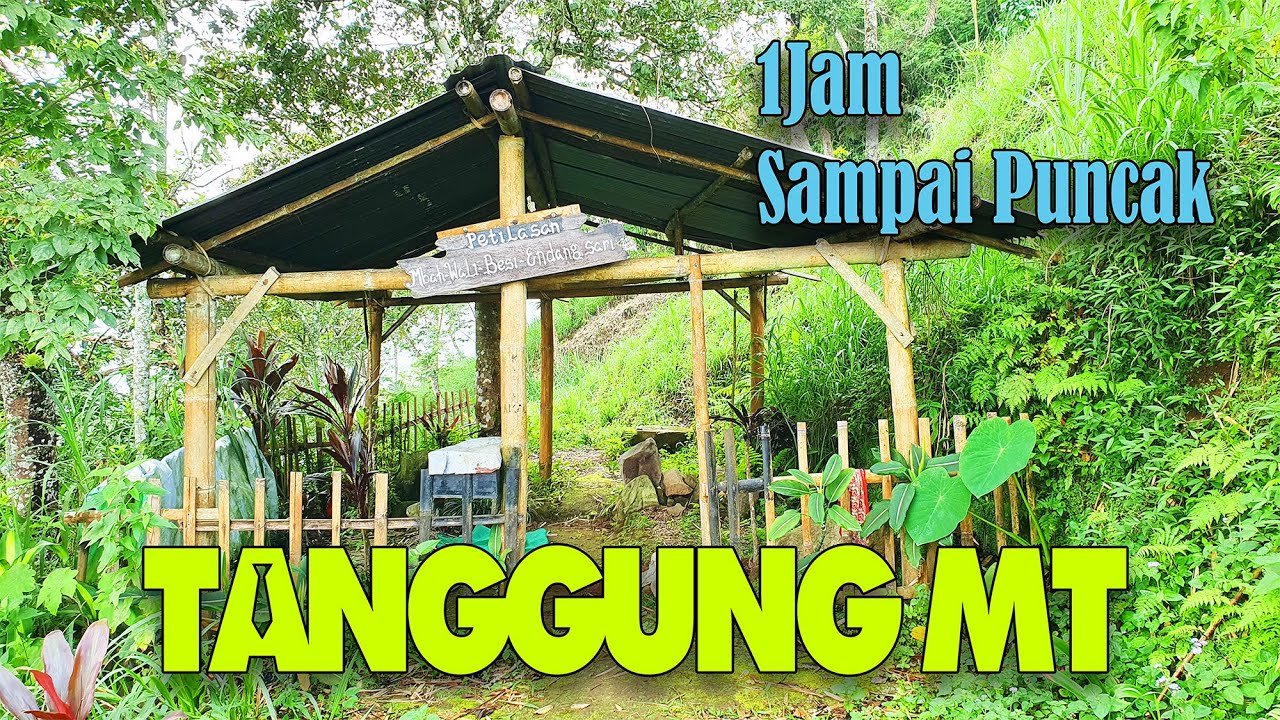 Pendakian Gunung Tanggung Petilasan Mbah Wali Besi Area NongkoJajar ...