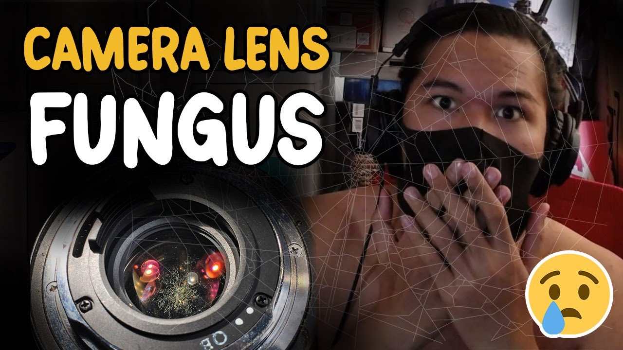 Camera Lens Fungus (paano maiwasan, how to avoid?) - YouTube
