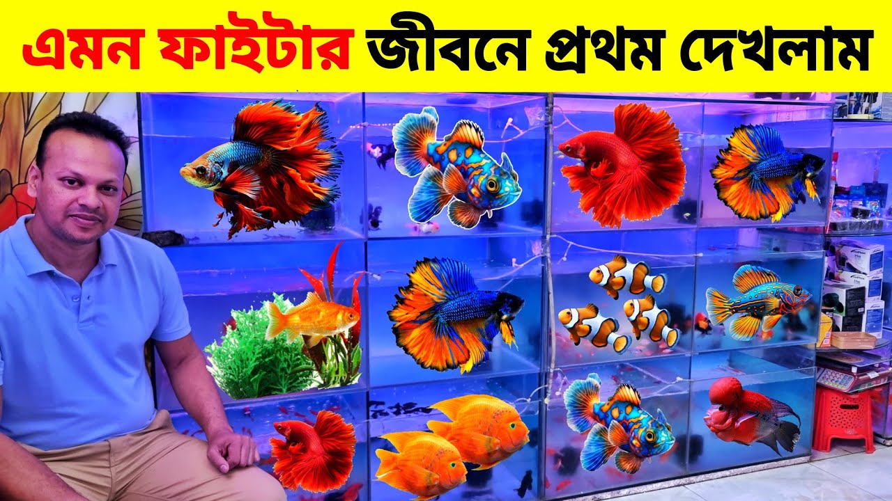 Aquarium Price In Bangladesh 2024🐠Aquarium Fish Price In Bangladesh 😱 ...