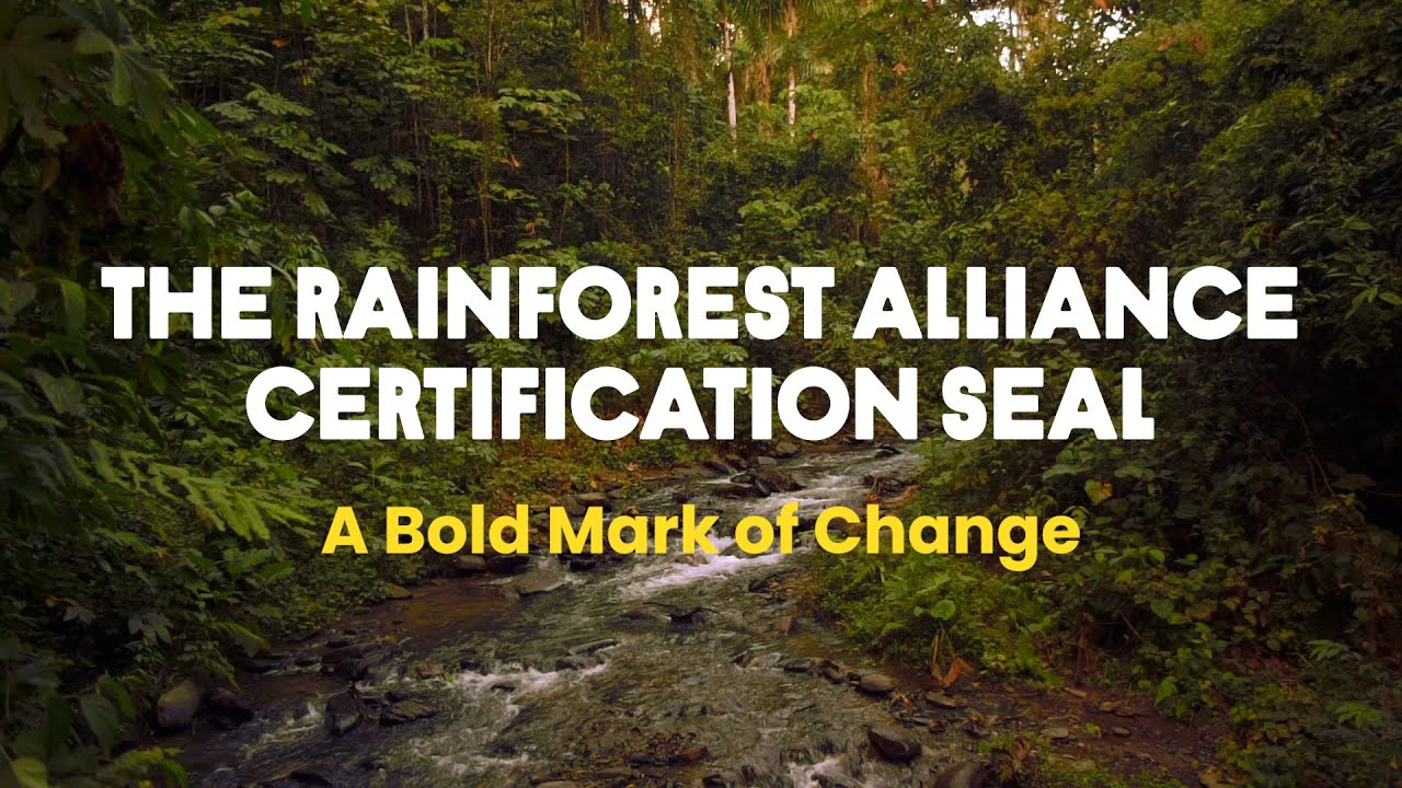 The Rainforest Alliance Certification Seal: A Bold Mark of Change - YouTube